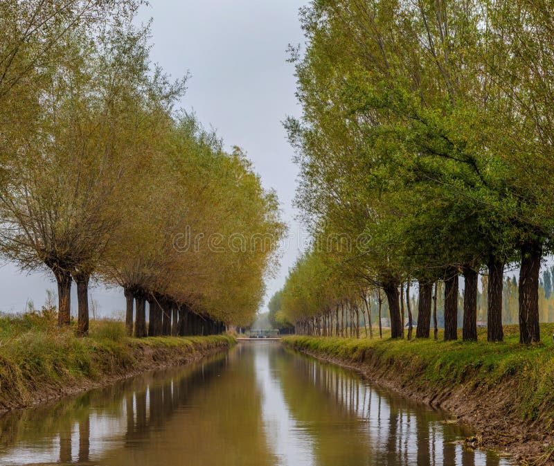 Irrigation Canal with Trees on Both Sid? Stock Photo - Image of village ...