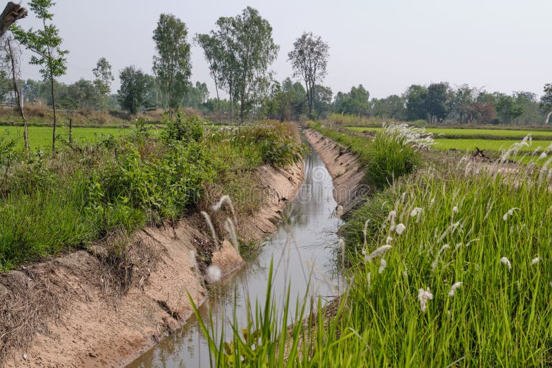 Irrigation Canals Deliver Water for Agriculture Stock Image - Image of ...