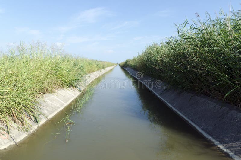 Irrigation channel stock image. Image of nature, environment - 59840539
