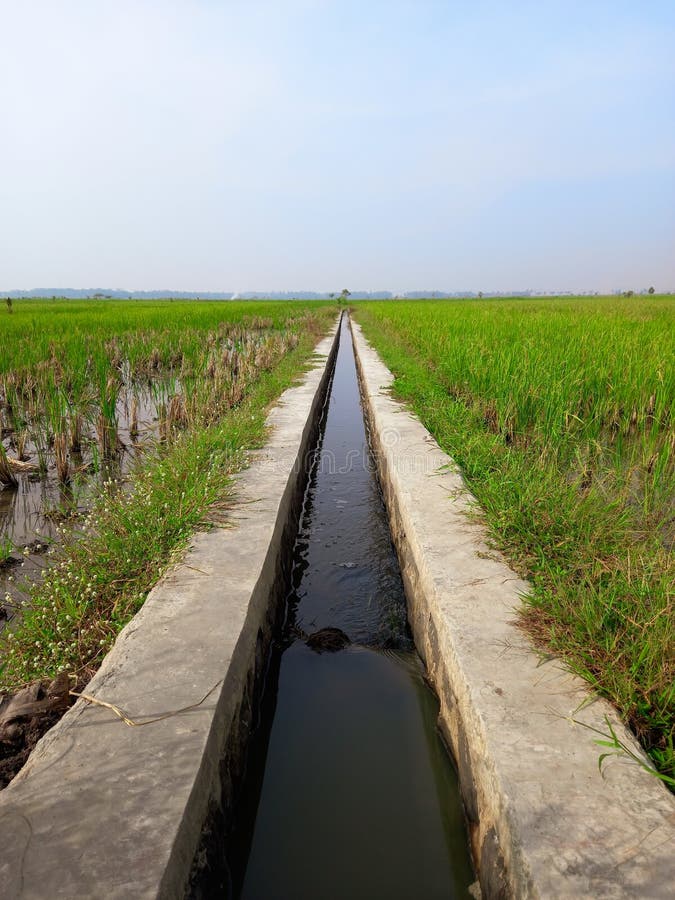 Irrigation Channels for the Agricultural Industry Producing Rice and ...