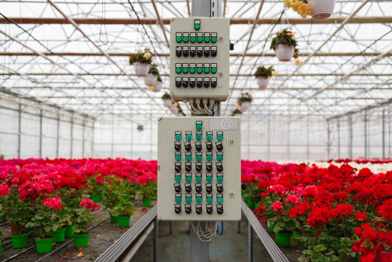 Irrigation Control Panel in a Modern Greenhouse for Growing Flowers ...