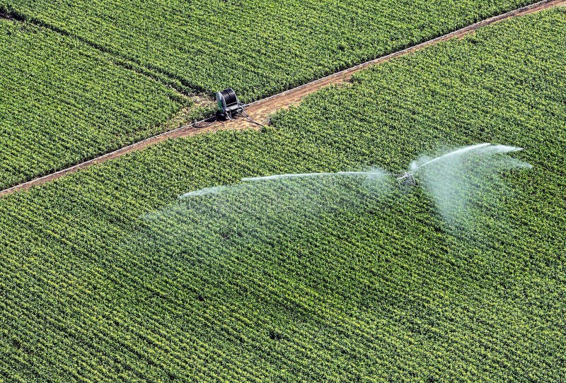 Irrigation on the Corn Field Aerial Photo Stock Photo - Image of people ...