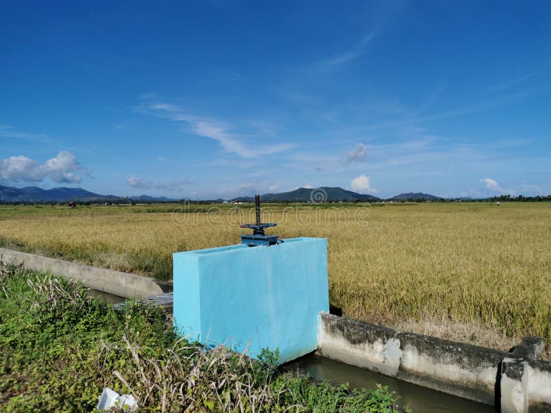 Irrigation and Drainage Systems in Paddy Fields. Stock Image - Image of ...