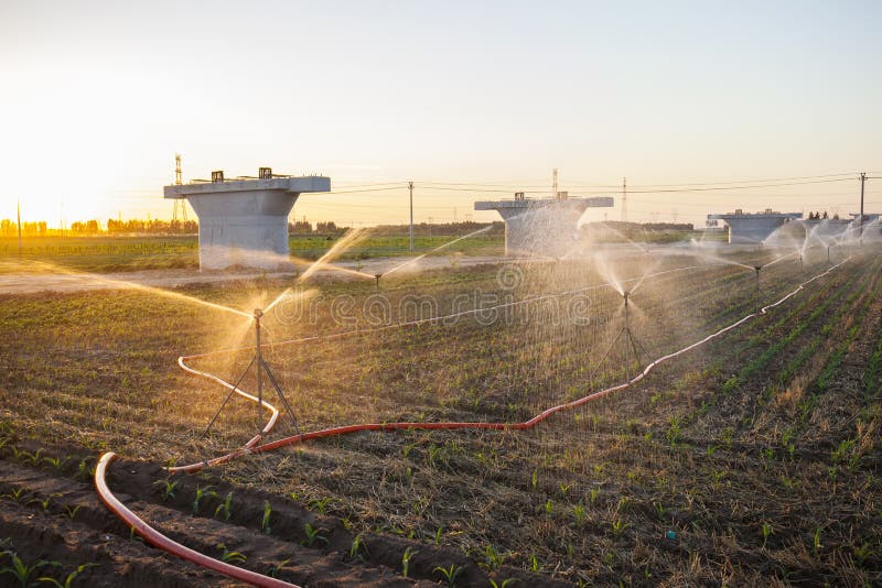 Irrigation farmland stock image. Image of pipes, equipment - 175590487