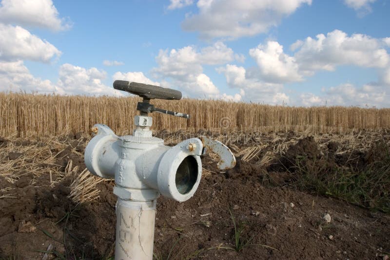Irrigation Faucet Landscape Framing Stock Photo - Image of watering ...