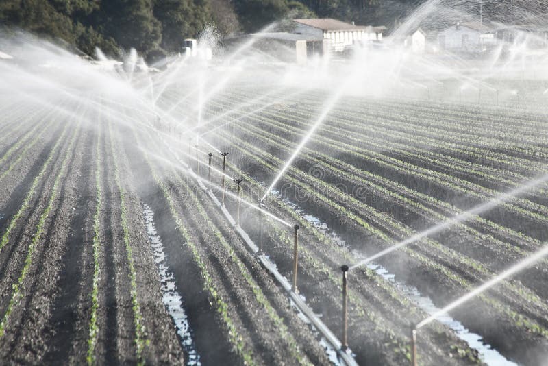 Irrigation in a Field stock photo. Image of solid, watering - 24191766