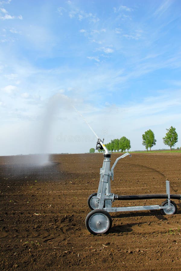Irrigation in the field stock image. Image of growing - 51633229