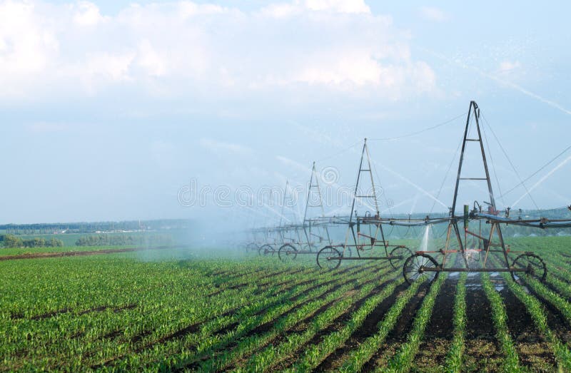 Irrigation of fields stock photo. Image of gardening - 19759668