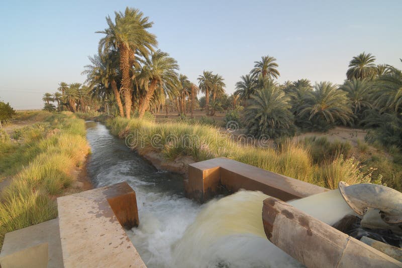 Irrigation of Fields in Sudan through Pump-fed Channels Stock Photo ...