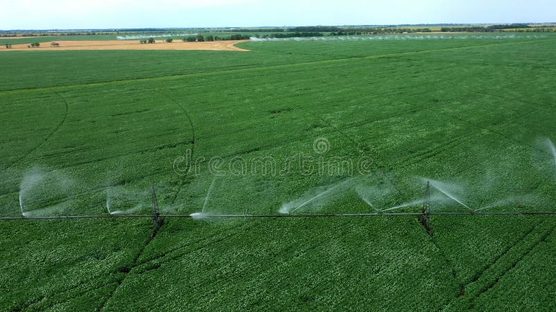 Irrigation of Fields System. Beautiful Streams of Water Over Green ...