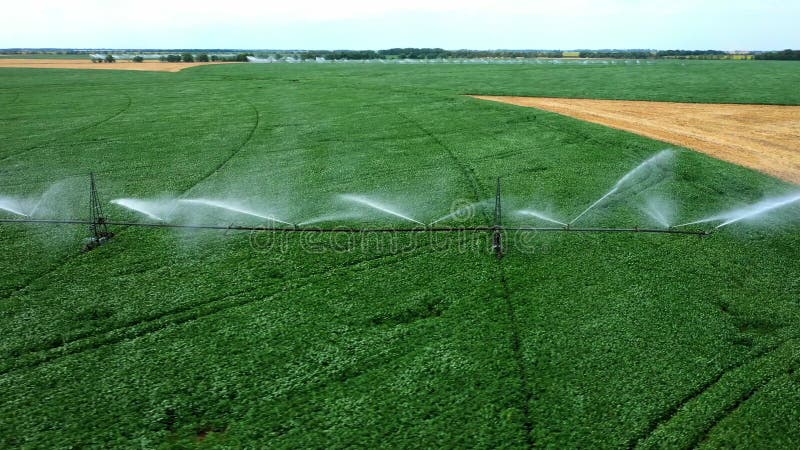 Irrigation of Fields System. Beautiful Streams of Water Over Green ...