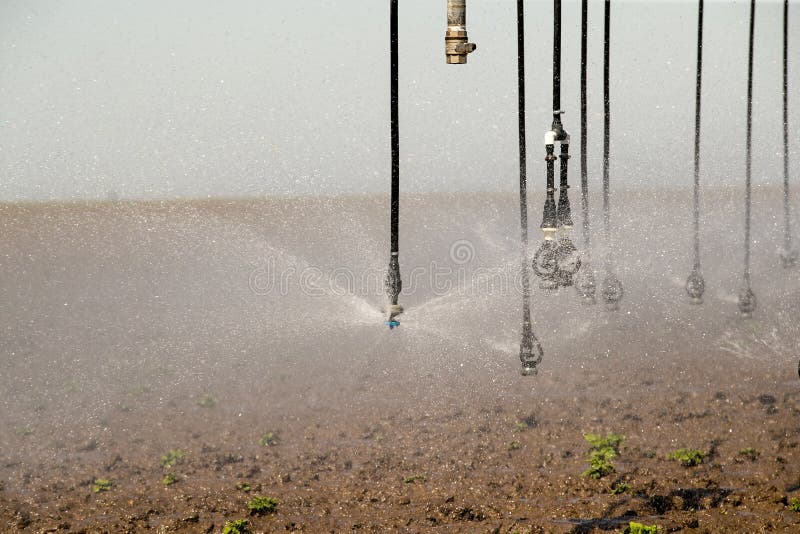 Irrigation Systems, Irrigation Systems, Rain Machine, Water Supply To ...