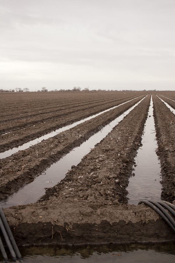Irrigation stock image. Image of dramatic, preparation - 31752359