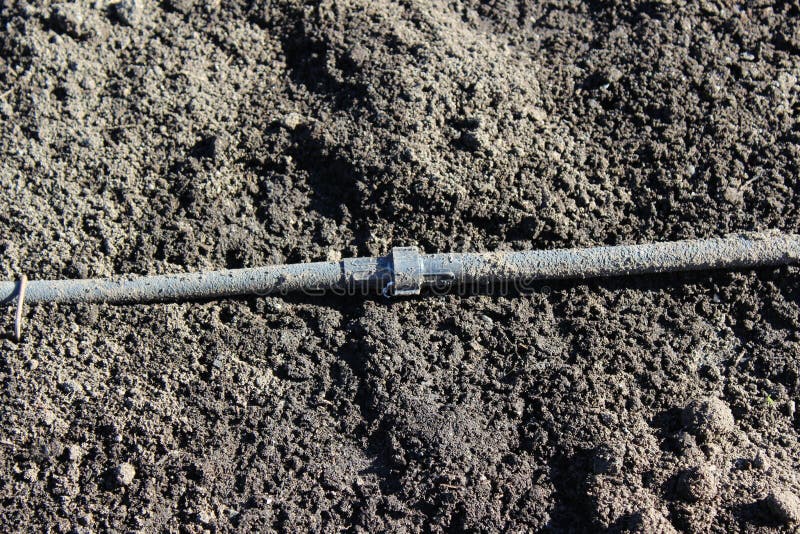 An Irrigation Line Set on a Ground Stock Photo - Image of horticulture ...