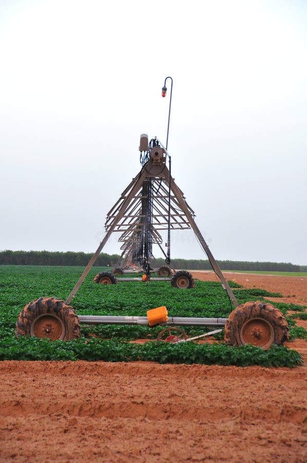 Irrigation Machine Watering Agricultural Field with Young Sprouts ...