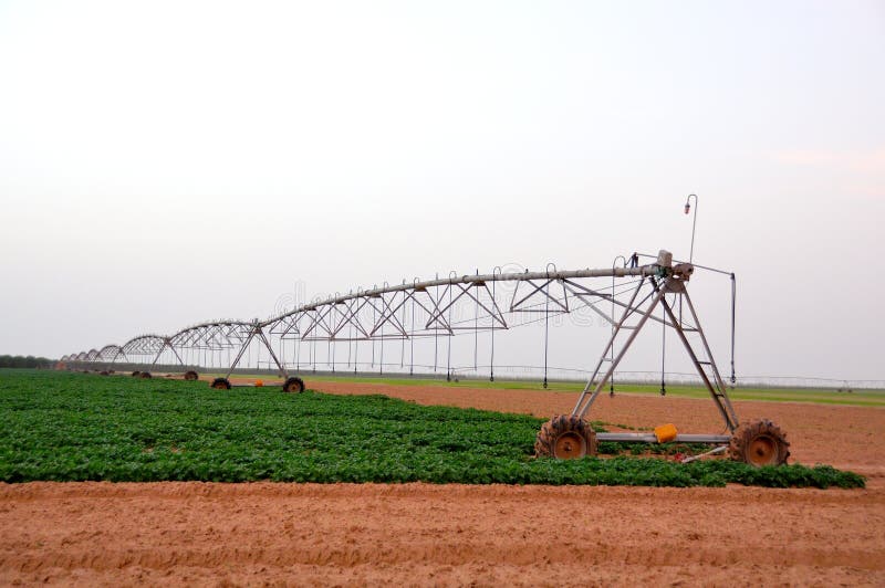 The crop irrigation system stock photo. Image of equipment - 12065112