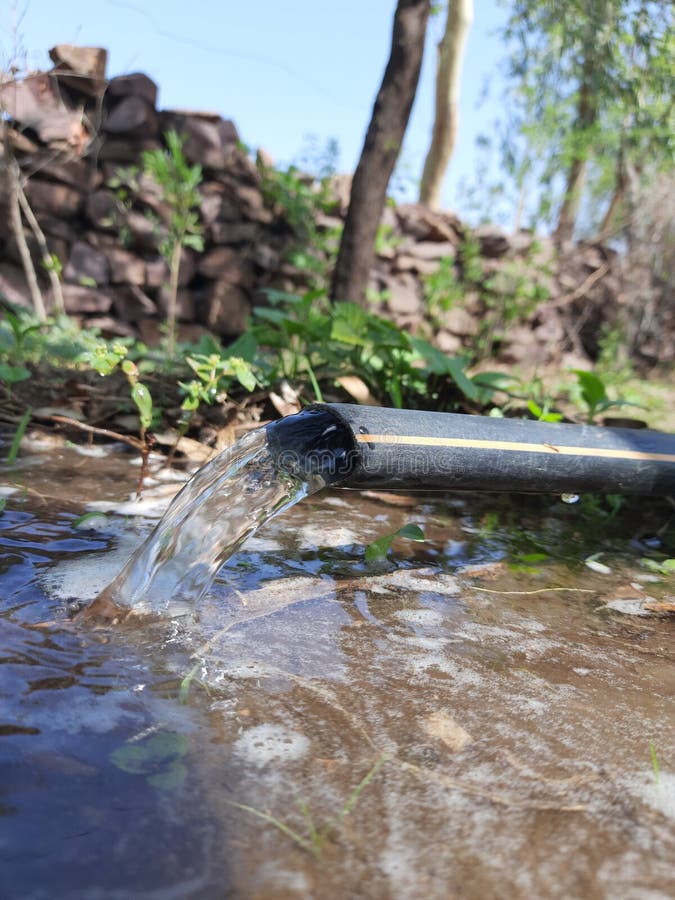 Irrigation with a Pipe in the Indian Garden Stock Photo - Image of ...