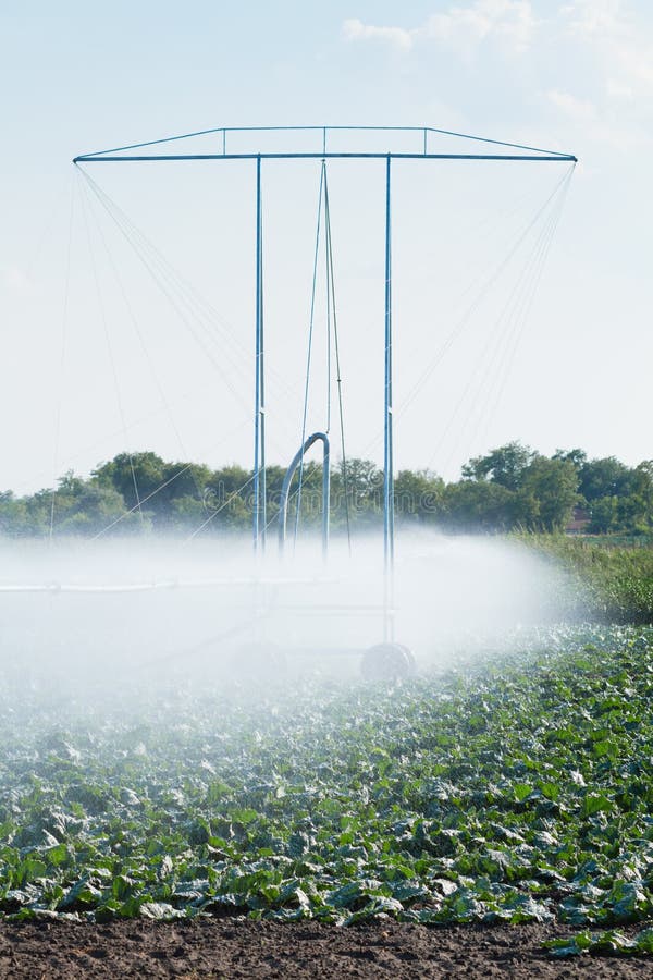 Irrigation pivot watering stock image. Image of agriculture - 32976461