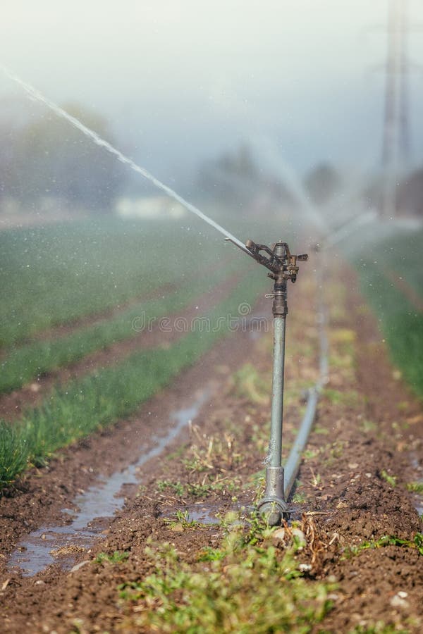 Irrigation Plant System on a Field, Agriculture and Plants Stock Image ...