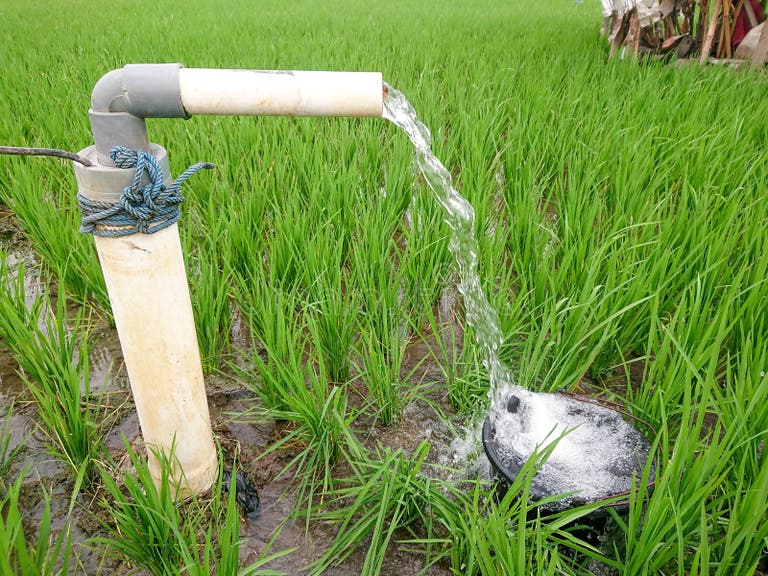 Irrigation of Rice Fields Using Pump Wells with the Technique of ...