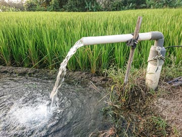 132 Irrigation Rice Field Using Water Pump Stock Photos - Free ...