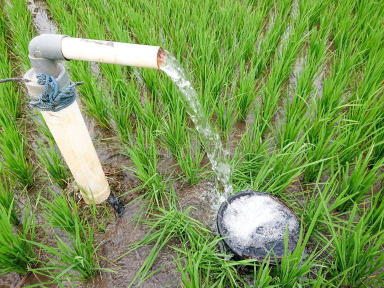 Irrigation of Rice Fields Using Pump Wells with the Technique of ...