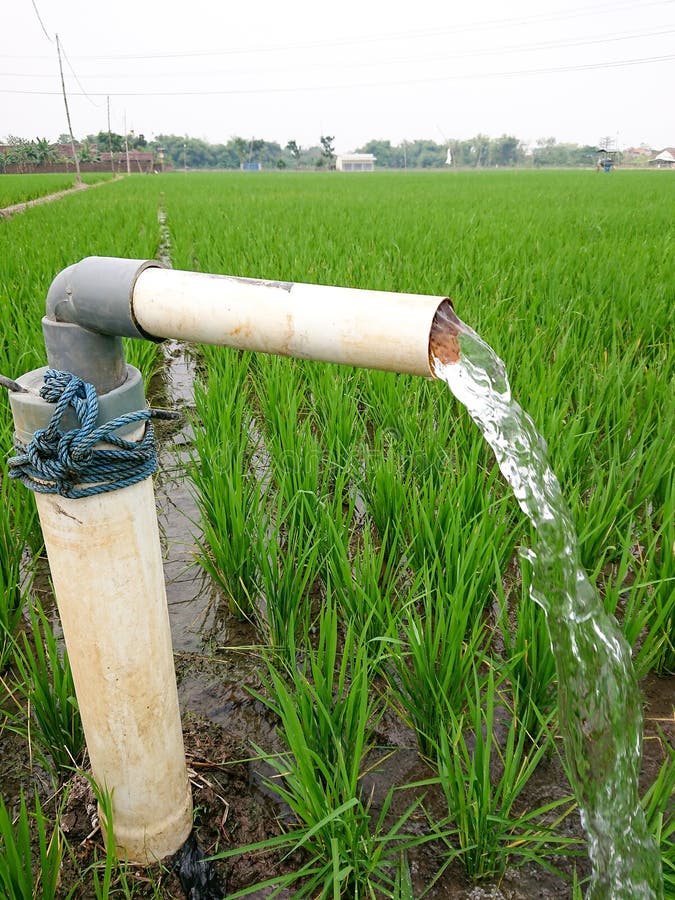 571 Clear River Irrigation Stock Photos - Free & Royalty-Free Stock ...