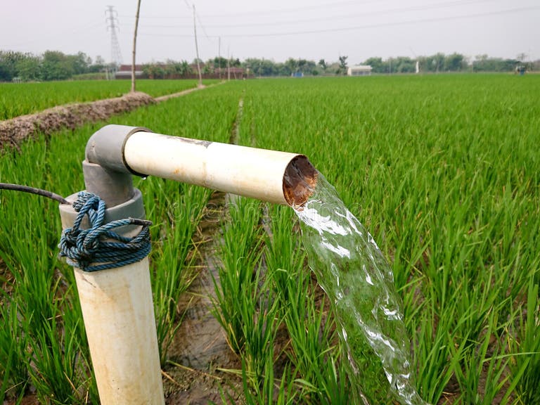 Irrigation of Rice Fields Using Pump Wells with the Technique of ...