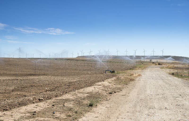 Irrigation Sprayers in the Field Stock Image - Image of system ...