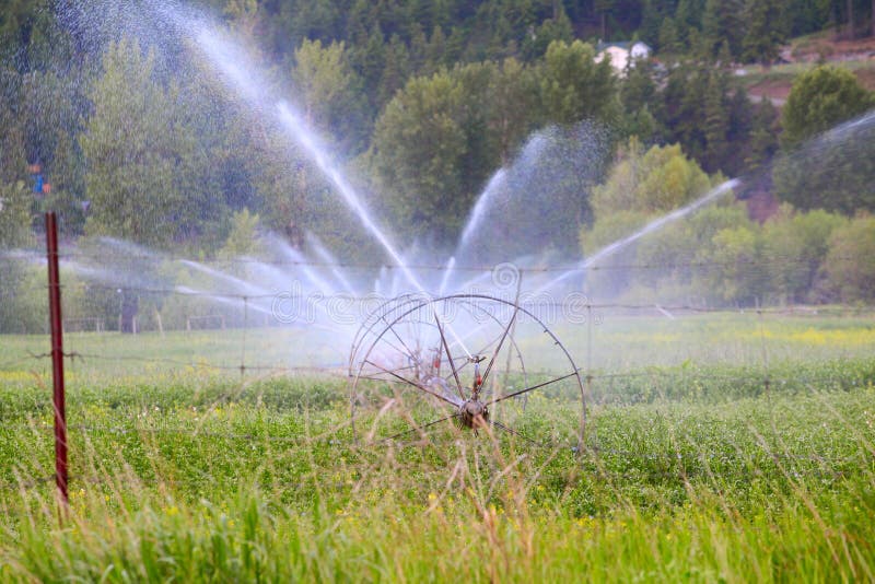 Irrigation stock image. Image of agricultural, green - 42658505
