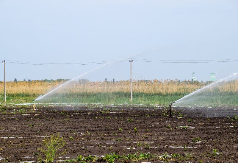 Irrigation System in Field of Melons. Watering the Fields Stock Image ...