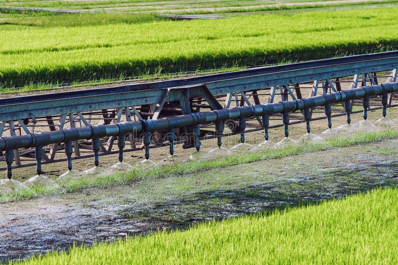 148 Wet Paddy Field Irrigation System Stock Photos - Free & Royalty ...