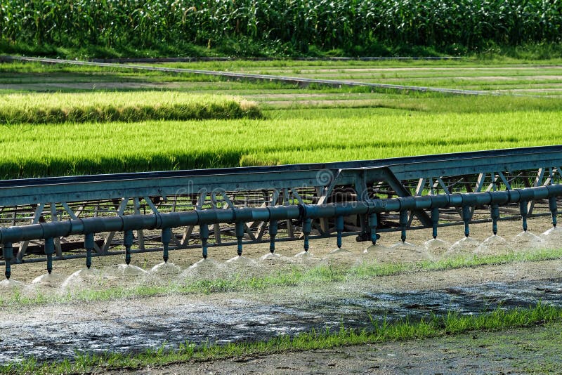 148 Wet Paddy Field Irrigation System Stock Photos - Free & Royalty ...