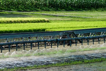148 Wet Paddy Field Irrigation System Stock Photos - Free & Royalty ...