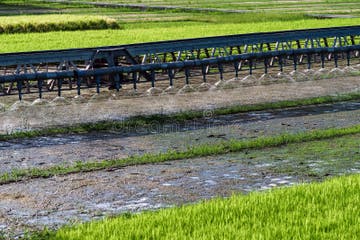 148 Wet Paddy Field Irrigation System Stock Photos - Free & Royalty ...
