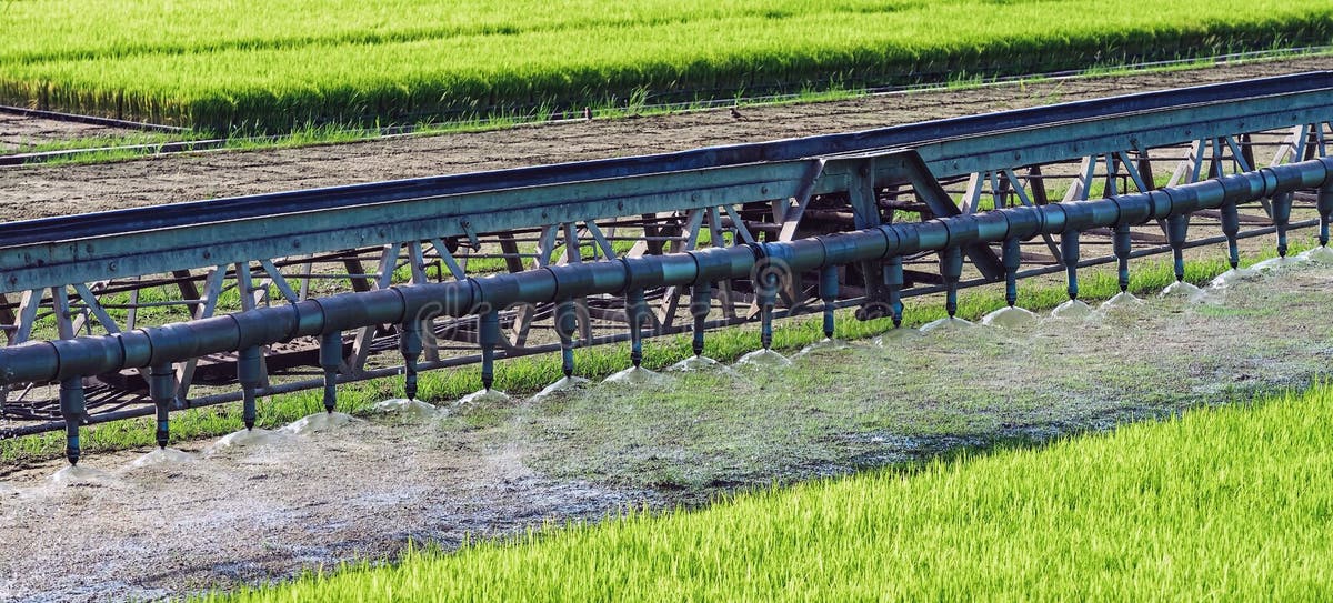 148 Wet Paddy Field Irrigation System Stock Photos - Free & Royalty ...