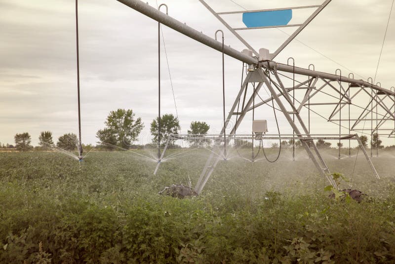 Irrigation System on Green Field Stock Photo - Image of industry, farm ...