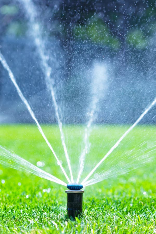 Irrigation System in Home Garden. Automatic Lawn Sprinkler Watering ...