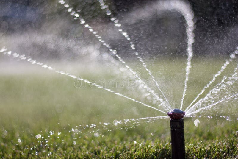 Irrigation system 01 stock photo. Image of waterlily - 128113900