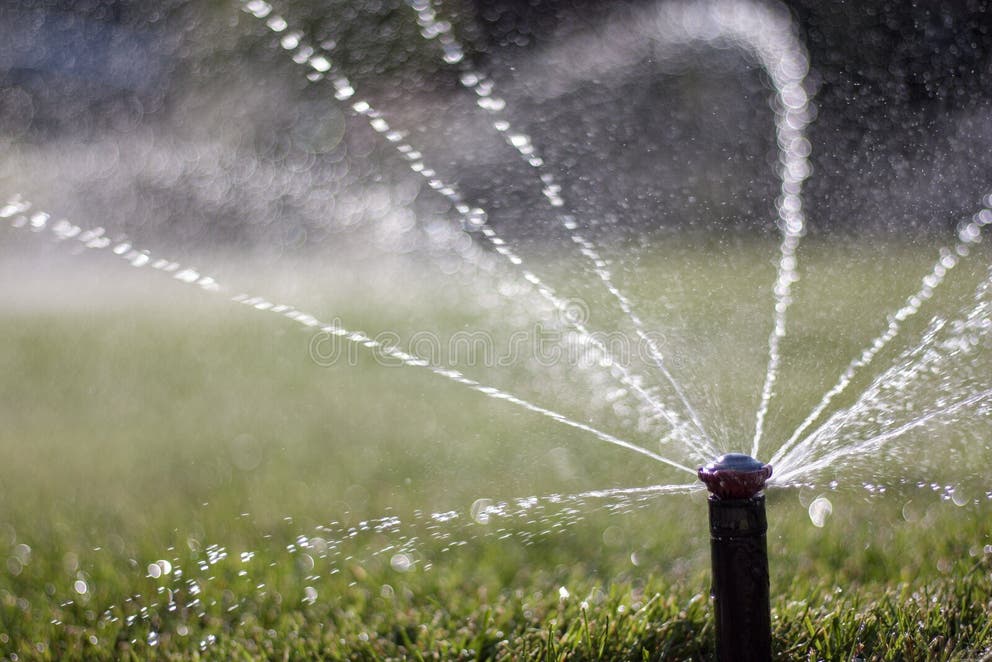Irrigation system 01 stock photo. Image of waterlily - 128113900