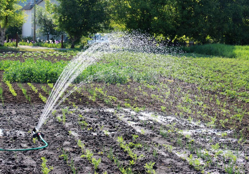 The Irrigation System is in Operation Stock Image - Image of splash ...