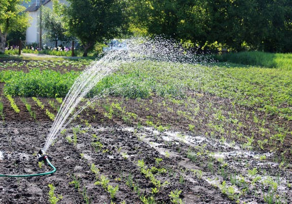 The Irrigation System is in Operation Stock Image - Image of splash ...