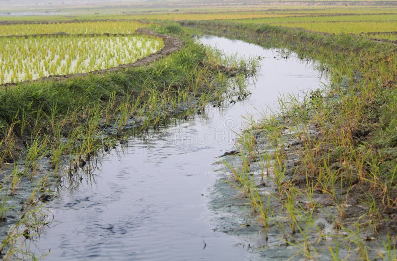 Irrigation system stock photo. Image of outdoor, crop - 36651418