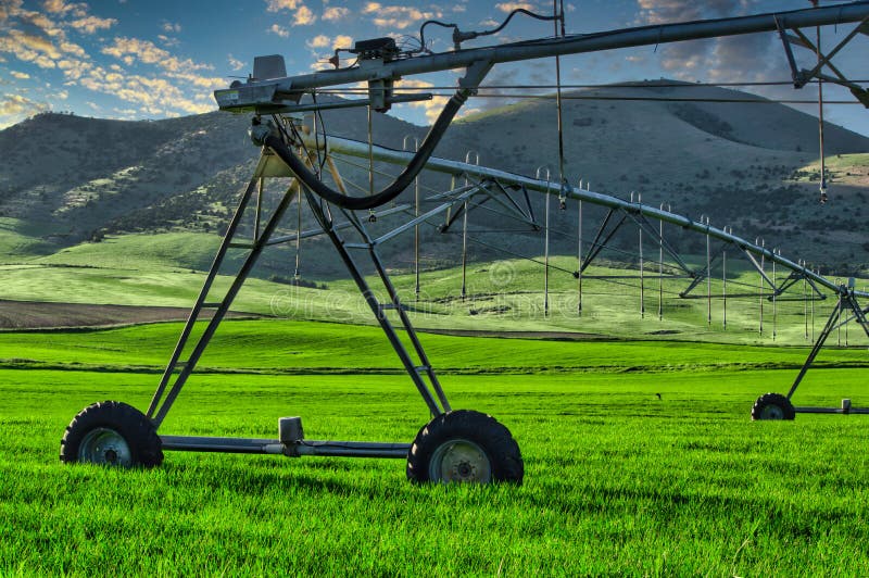 Irrigation System on a Green Field Stock Image - Image of plant ...