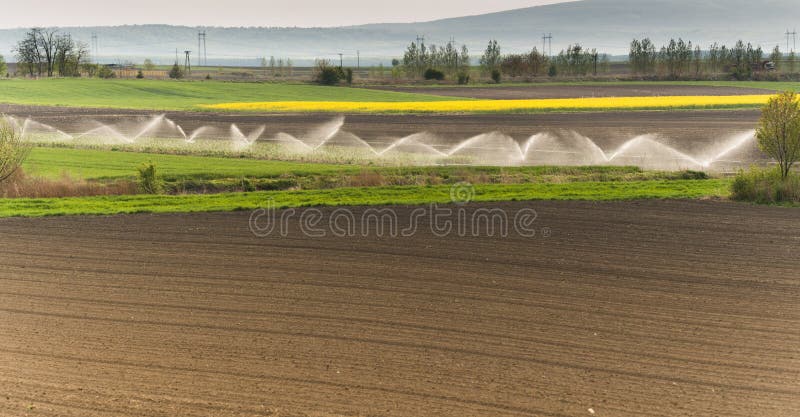 21,523 Irrigation Sesame Crop Stock Photos - Free & Royalty-Free Stock ...