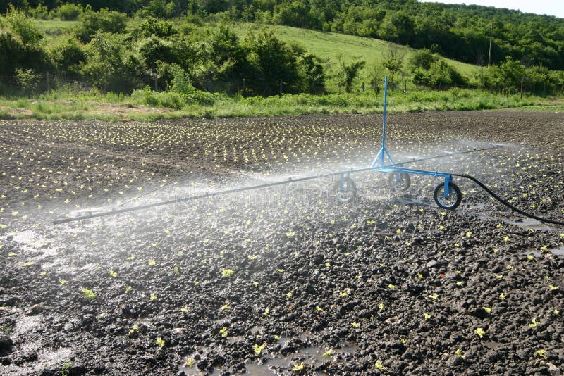 Irrigation System Watering a Farm Field Stock Photo - Image of farming ...
