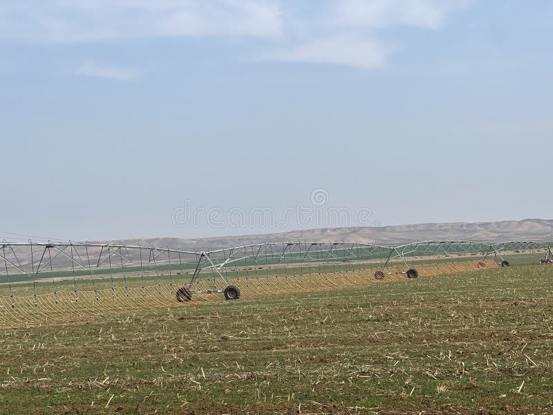 Irrigation System Watering the Field with a High Pressure Water Jet ...