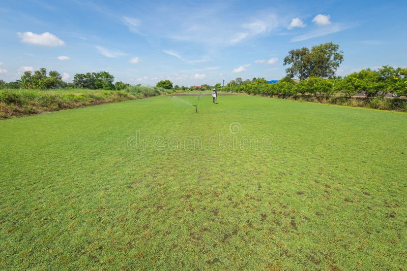 Irrigation System Watering the Green Grass Field Stock Photo - Image of ...