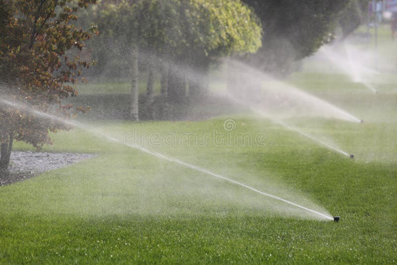 Irrigation System Watering the Trees Automatically Stock Photo - Image ...