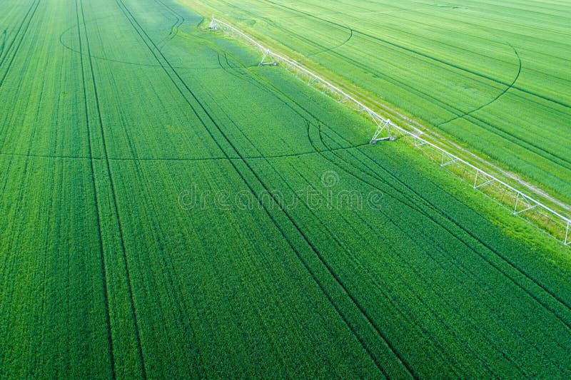 Irrigation System in Wheat Field Stock Image - Image of industry ...